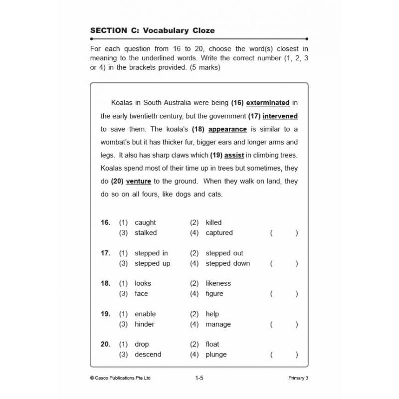 English Examination Papers Primary 3 (Pack)