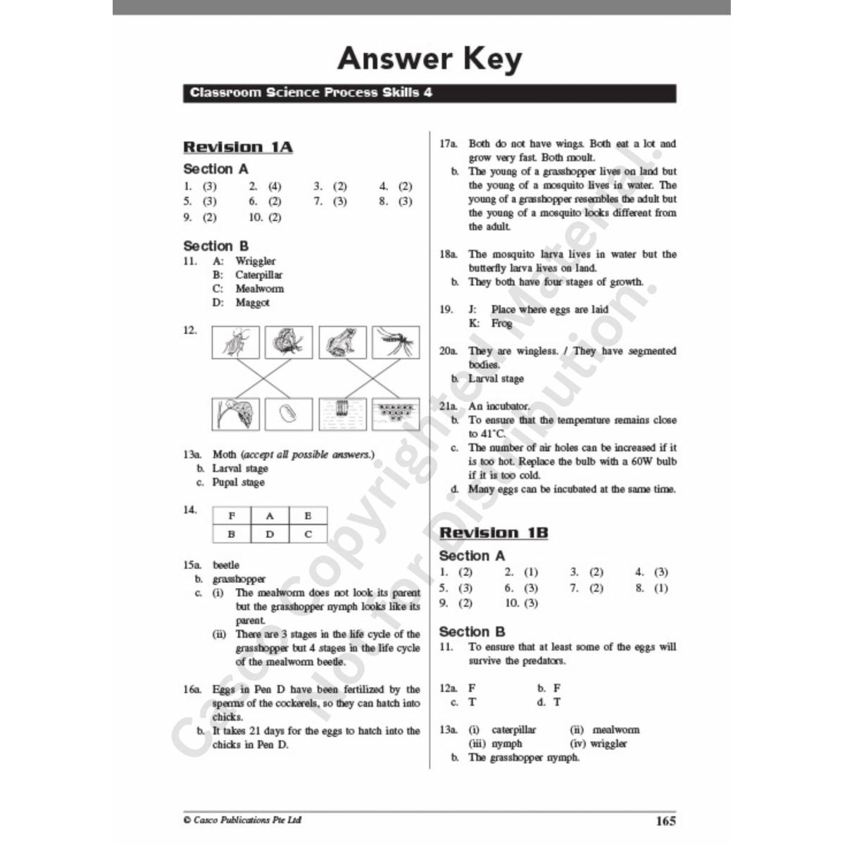 Classroom Science Process Skills P4