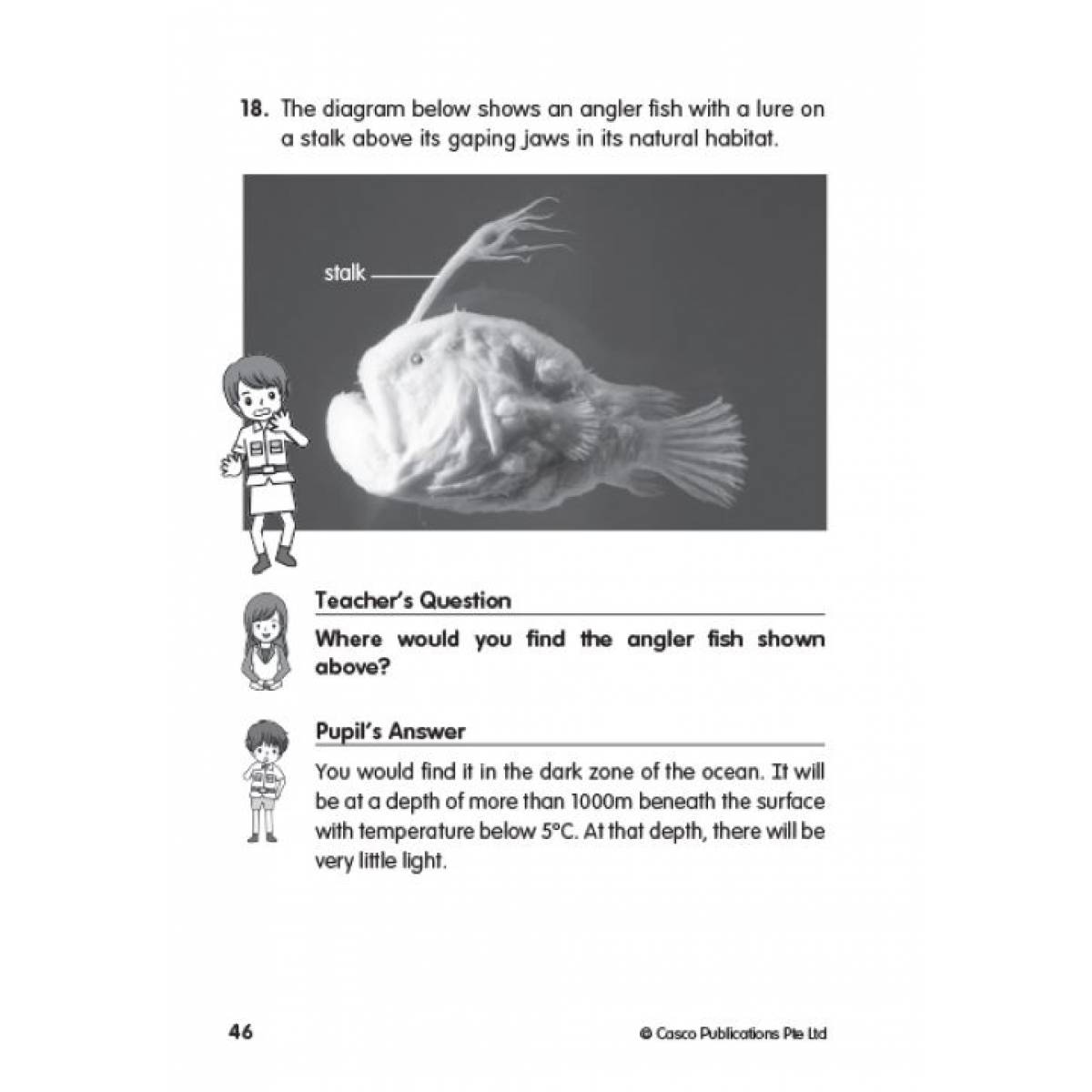 Science Inquiry-based Learning Questions & Answers Primary 6