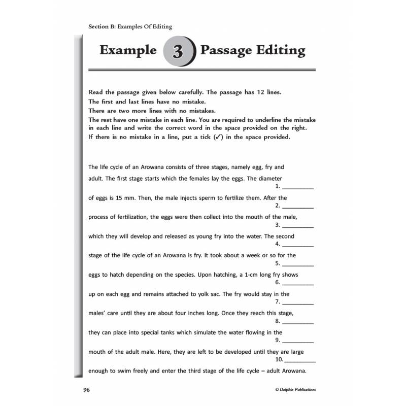 English Grammar & Editing For Lower Secondary