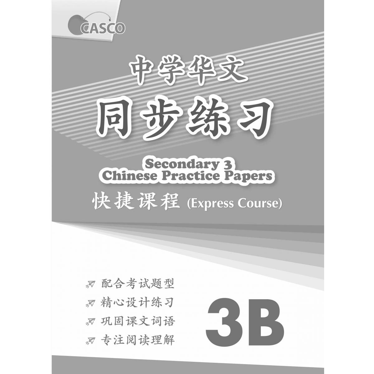 Secondary Chinese Practice Papers 3B