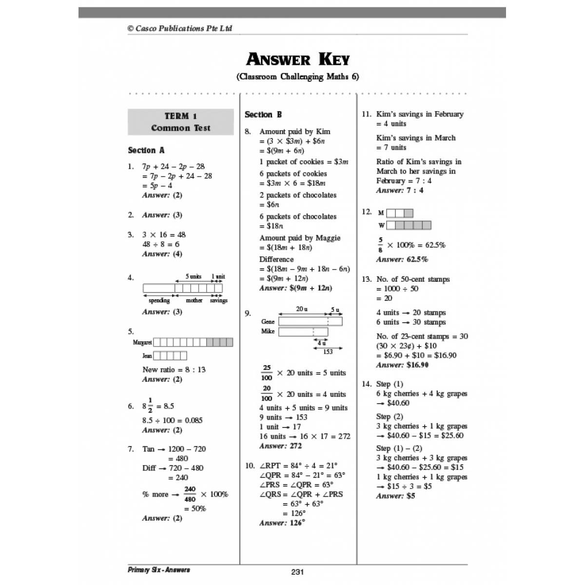 Classroom Challenging Maths 6