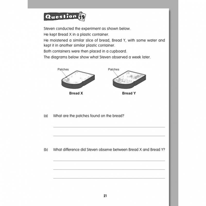 Mastering Science Concepts & Experiments Primary 3
