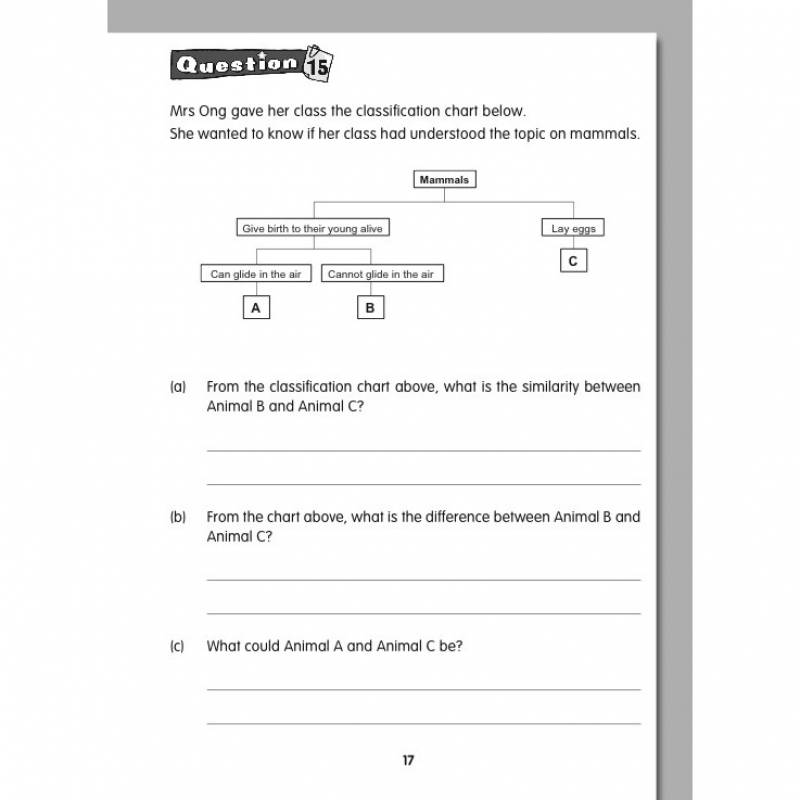 Mastering Science Concepts & Experiments Primary 3